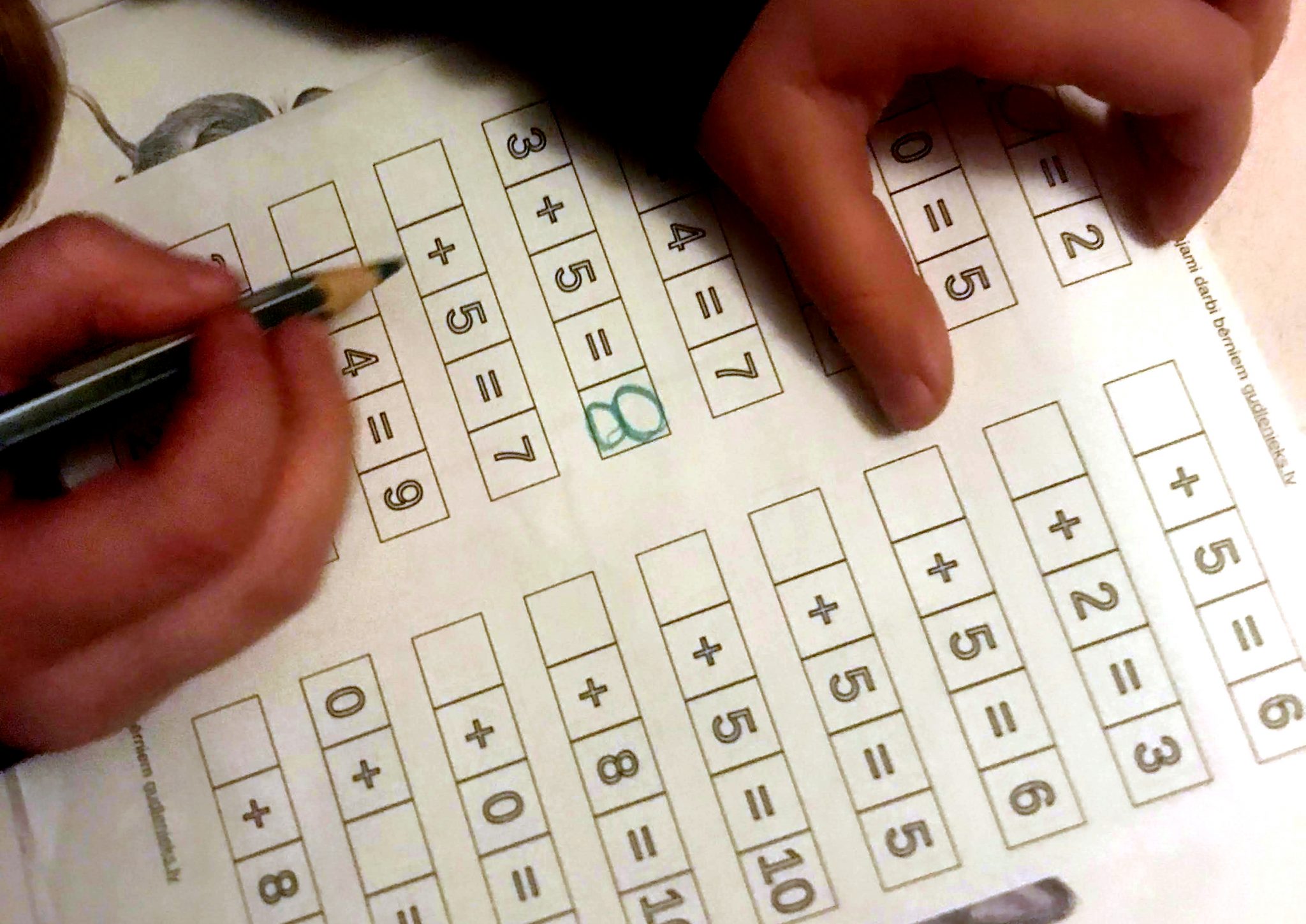 Addition to 20 with several addends - Gudlenieks