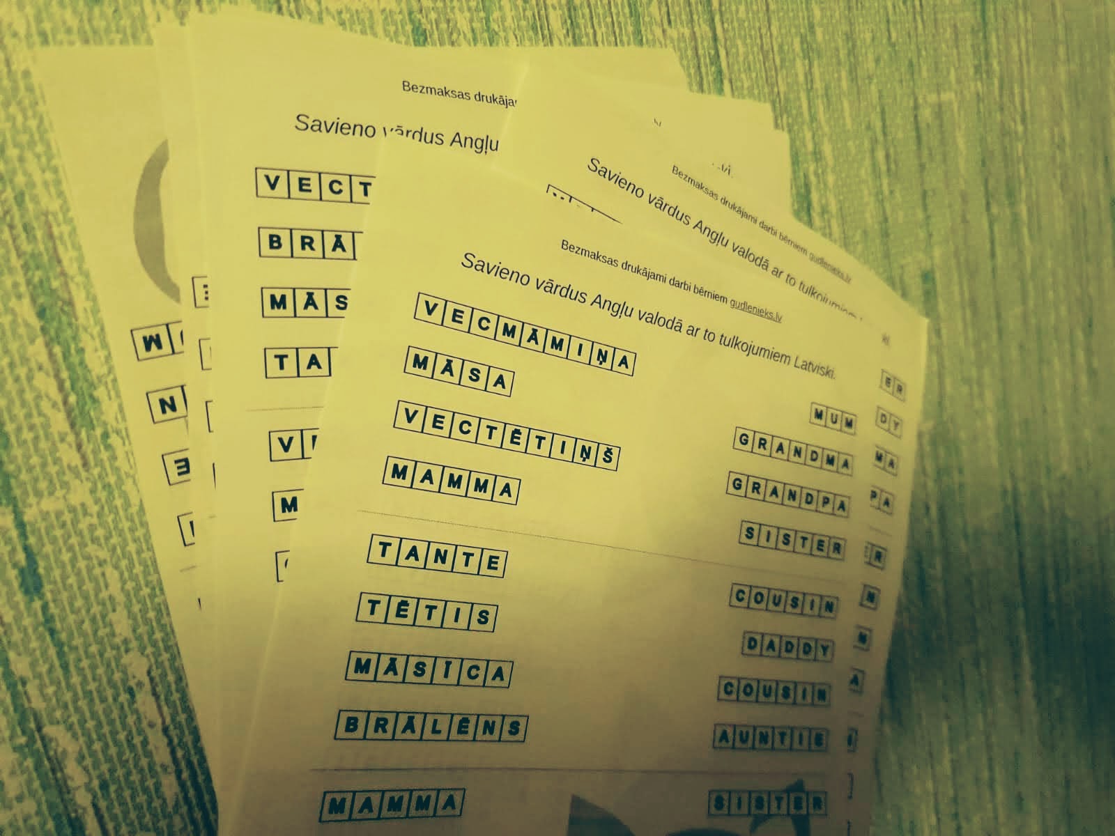 Bezmaksas darba uzdevumi Angļu valodā - Ģimene - Gudlenieks